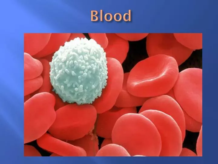 PPT - Blood PowerPoint Presentation, free download - ID:2136298