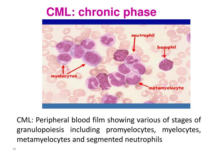 PPT - Tabuk University PowerPoint Presentation - ID:2136378
