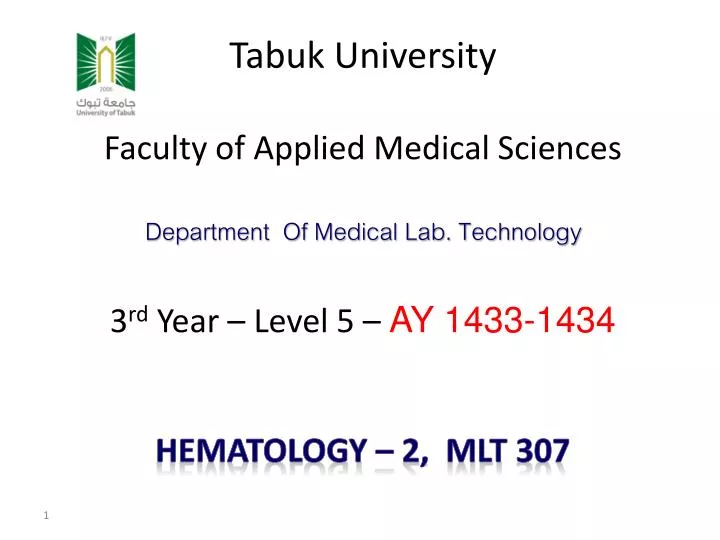 PPT - Tabuk University PowerPoint Presentation, free download - ID:2136378