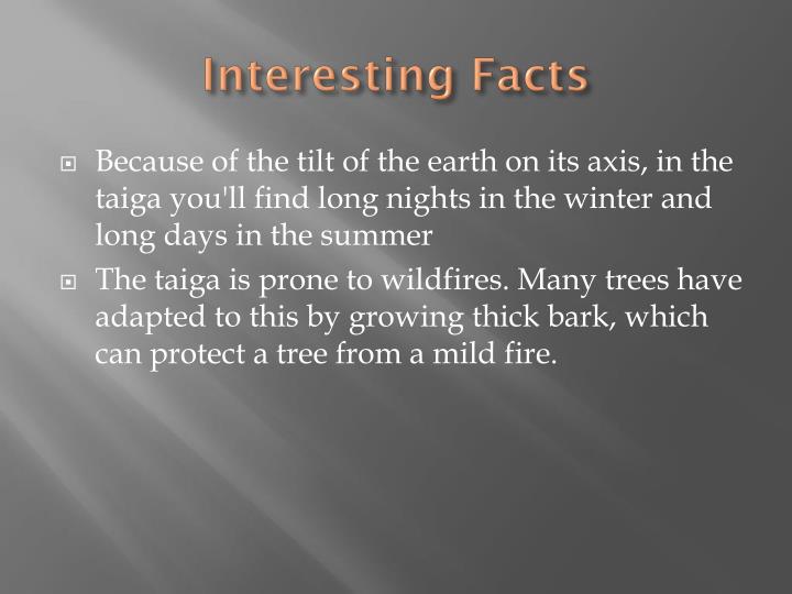 PPT - TAIGA (Coniferous forest) PowerPoint Presentation - ID:2136460