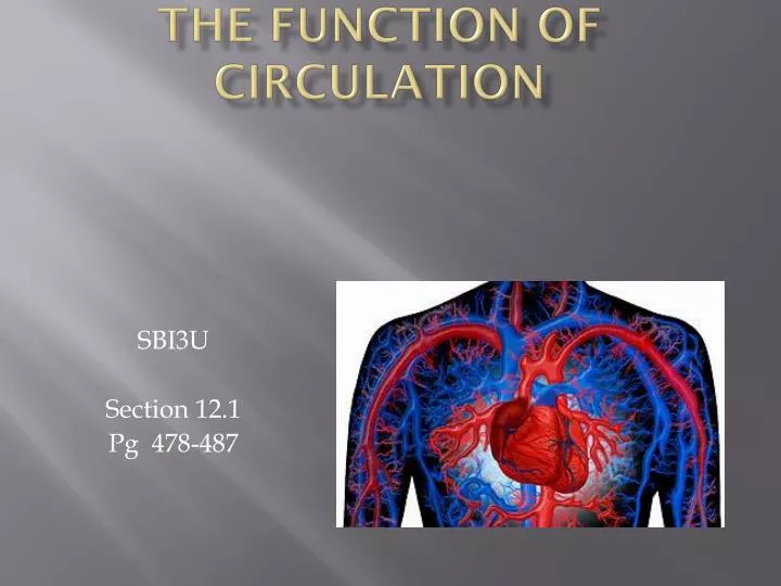 PPT - The Function of circulation PowerPoint Presentation, free ...