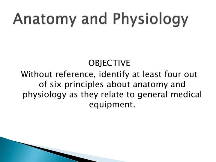 PPT - Anatomy and Physiology PowerPoint Presentation, free download ...