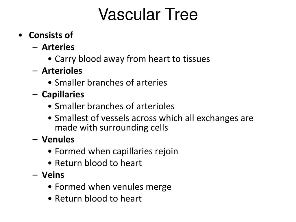 PPT - The Blood and B lood Vessels PowerPoint Presentation, free ...