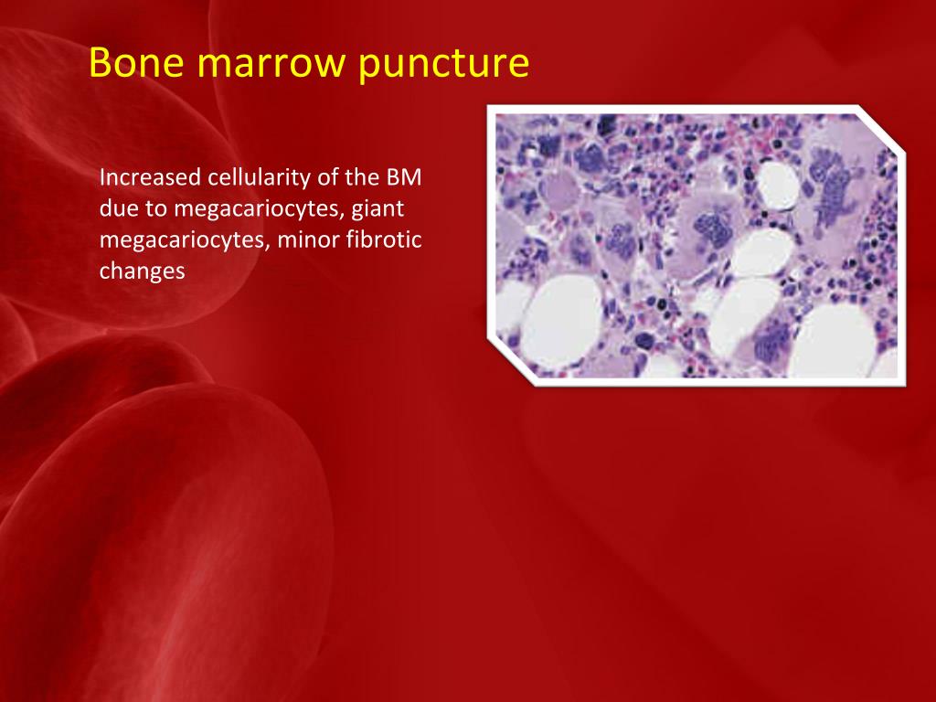 PPT - LVIV NATIONAL MEDICAL UNIVERSITY, UKRAINE FAMILY MEDICINE ...