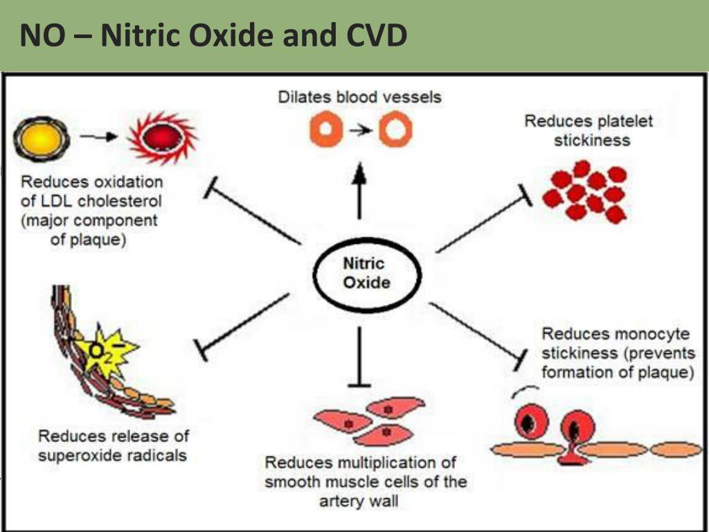 PPT - Toxic Metals, Cardiovascular Disease, and EDTA Chelation Therapy ...