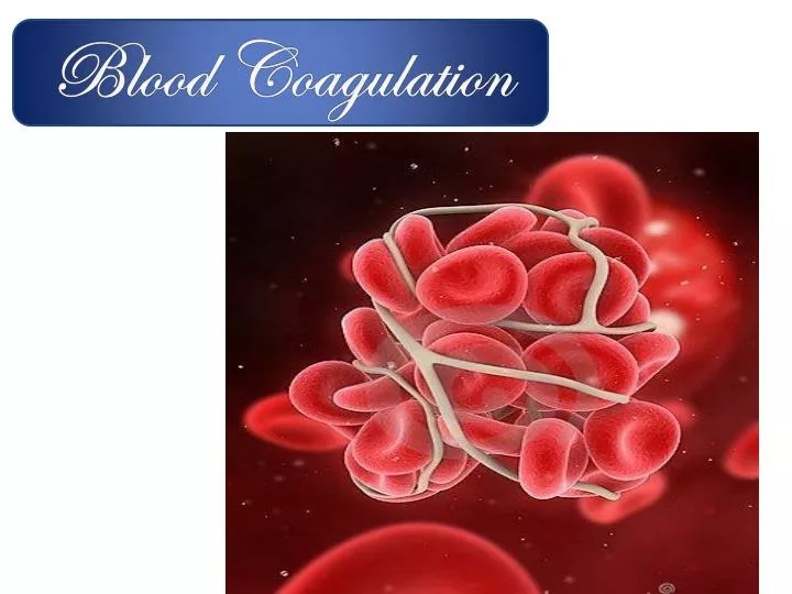 PPT - Blood Coagulation PowerPoint Presentation, free download - ID:2136981