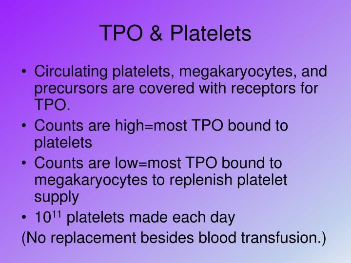 PPT - Thrombopoietin PowerPoint Presentation - ID:2137146