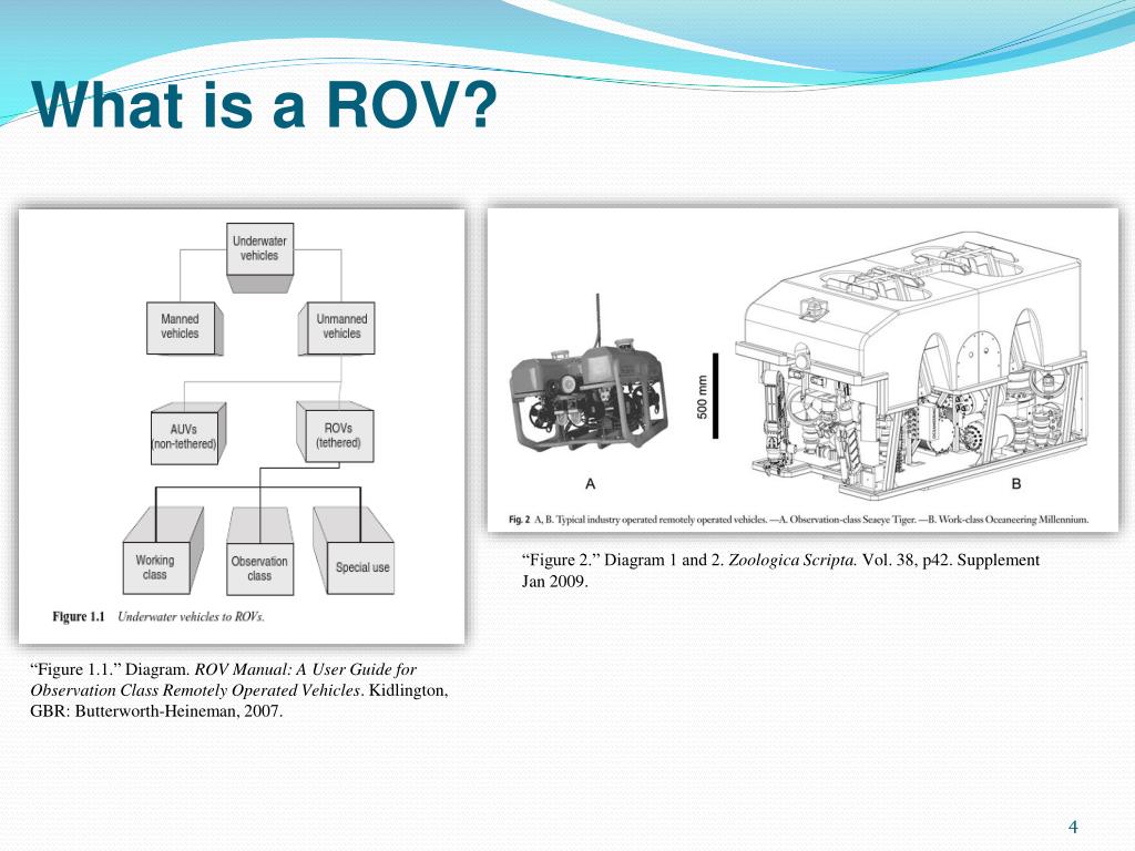 PPT - Team Members: Santos Ortiz (TL) Christopher Munoz Vicente Mora ...