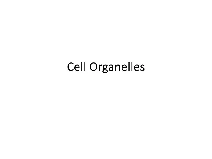 PPT - Cell Organelles PowerPoint Presentation, free download - ID:2138295