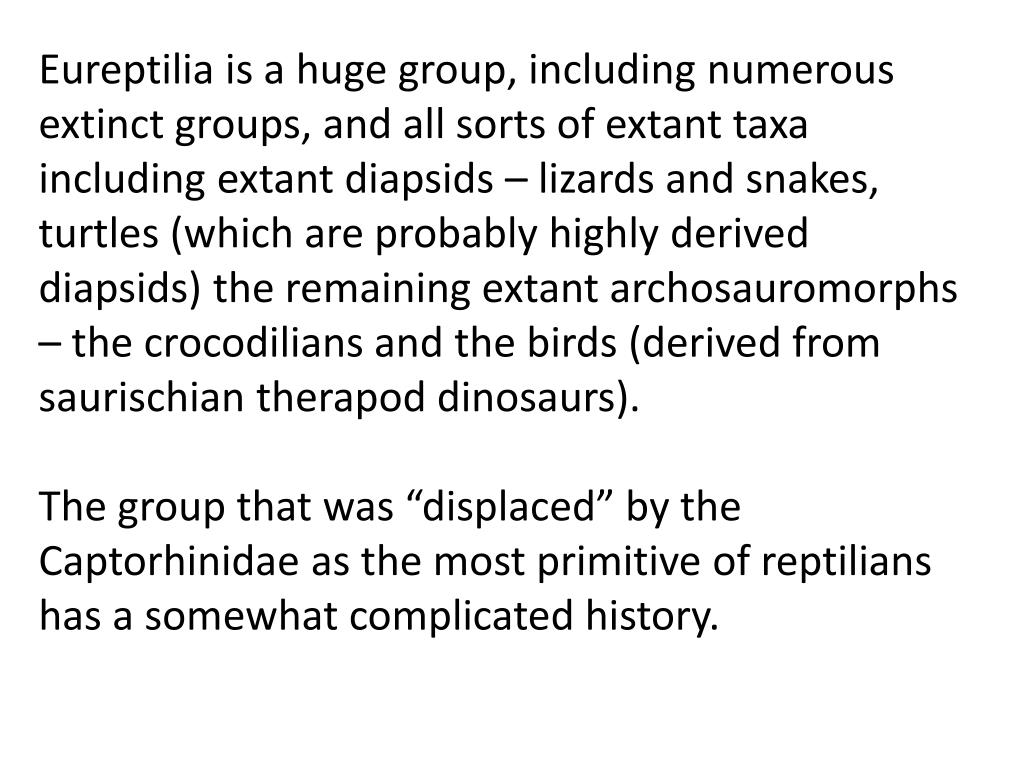 PPT - BIOLOGY 622 – FALL 2014 BASAL AMNIOTA - STRUCTURE AND PHYLOGENY ...