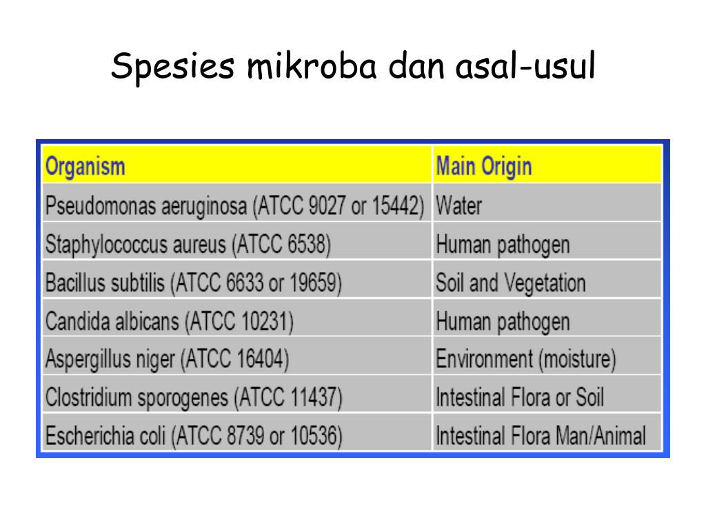PPT - Kerusakan Mikrobial dan Preservasi Produk Farmasetik PowerPoint ...