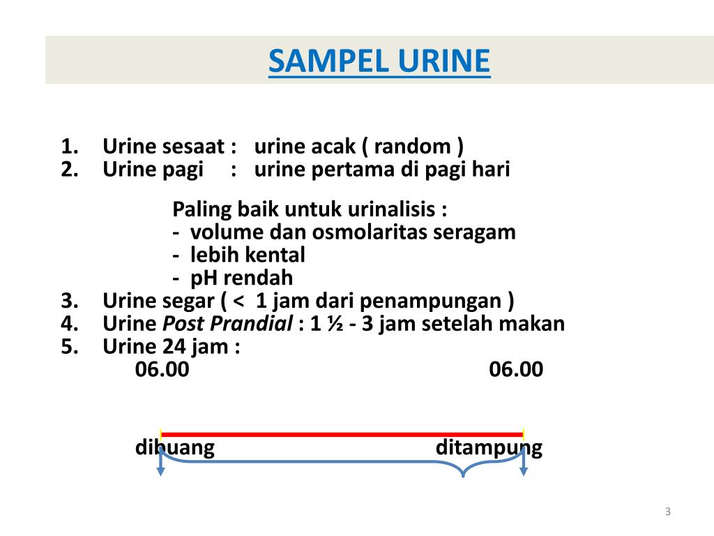 PPT - Patologi Klinik FKU-UWKS PRAKTIKUM URINALISIS PowerPoint ...