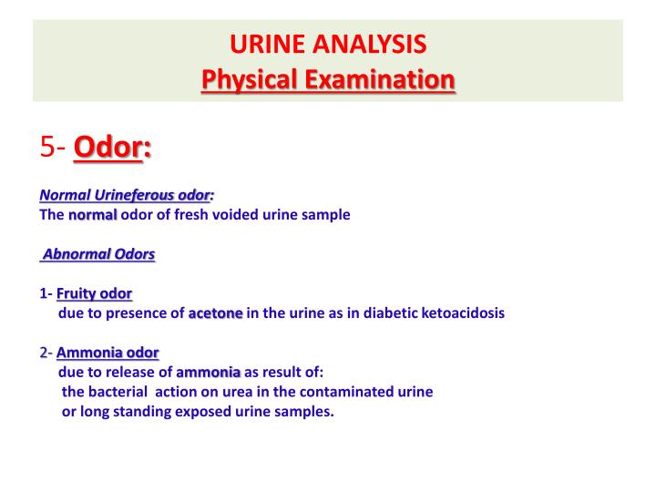 Physical Examination Of Urine Analysis at Isabel Yazzie blog