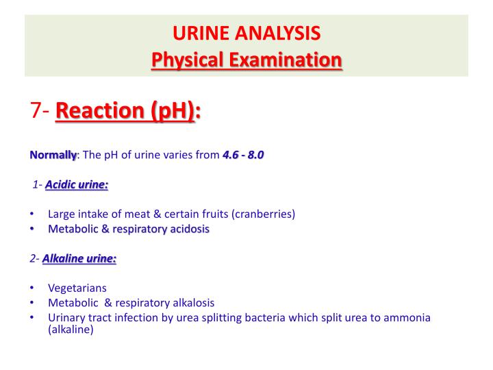 PPT - Urine Examination (Urine Analysis or Urine Report) PowerPoint ...