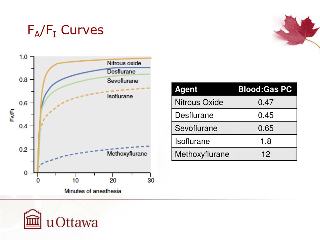 PPT - Clinical Pharmacology of Inhaled Anesthetics PowerPoint ...