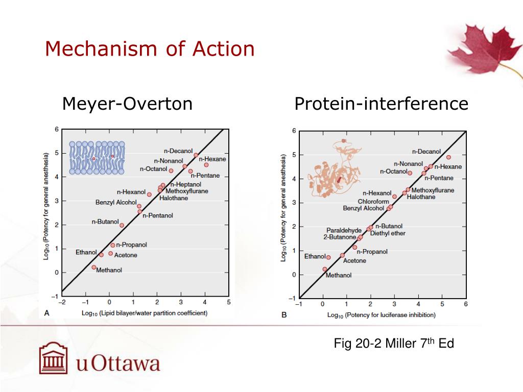 PPT - Clinical Pharmacology of Inhaled Anesthetics PowerPoint ...