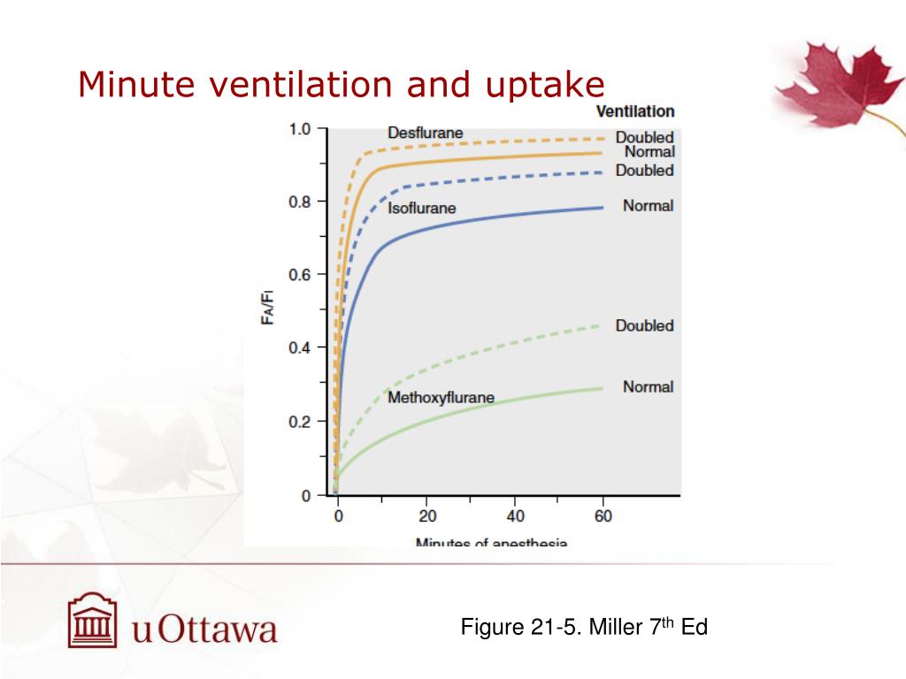 PPT - Clinical Pharmacology of Inhaled Anesthetics PowerPoint ...