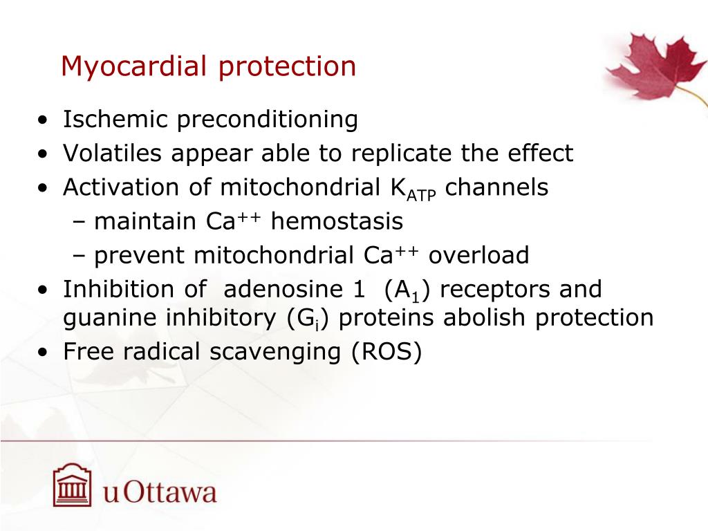 PPT - Clinical Pharmacology of Inhaled Anesthetics PowerPoint ...