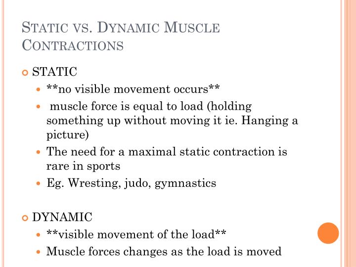 PPT - The Human Muscular system PowerPoint Presentation - ID:2139421