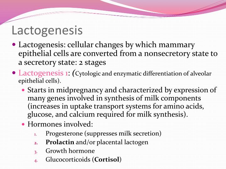 PPT - Hormones affecting the breast PowerPoint Presentation - ID:2139491