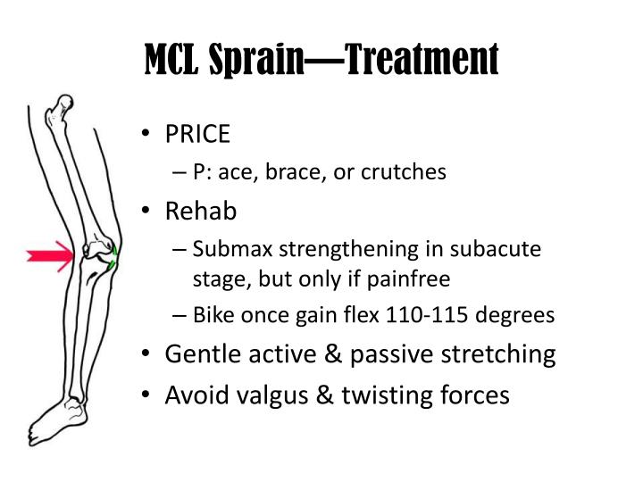 PPT - The Knee PowerPoint Presentation - ID:2139558