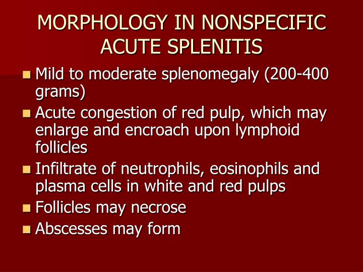 PPT - SPLEEN AND THYMUS PowerPoint Presentation - ID:2139714