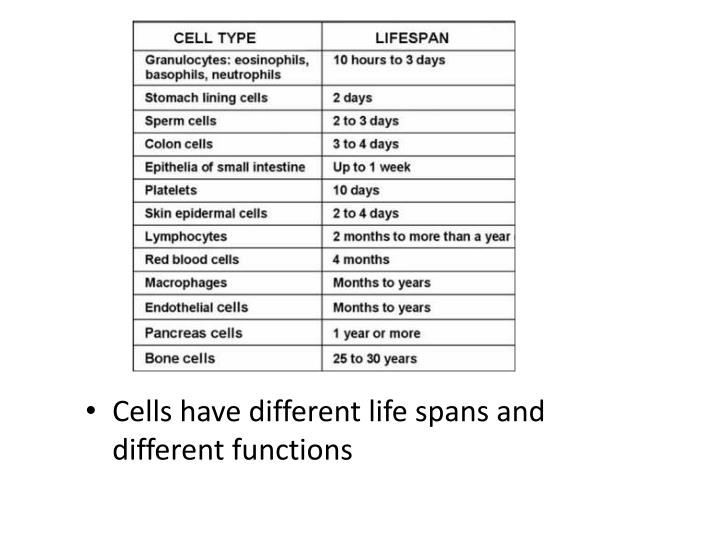 PPT - Organization of Organisms PowerPoint Presentation - ID:2139890