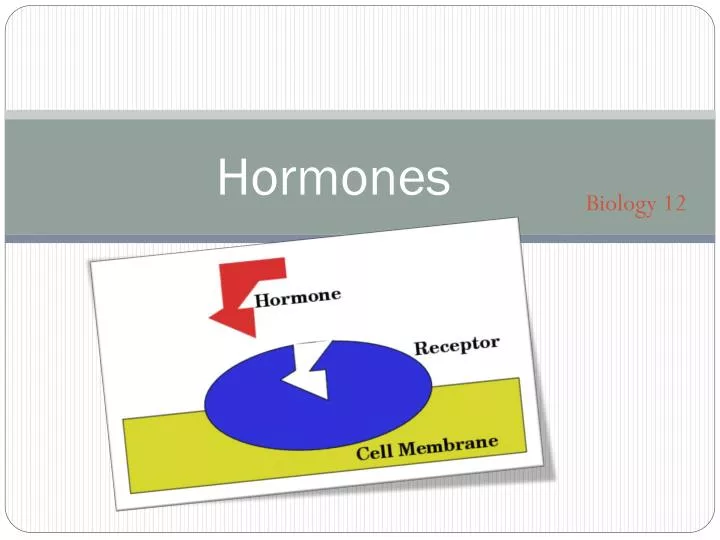 Ppt Hormones Powerpoint Presentation Free Download Id 2140186