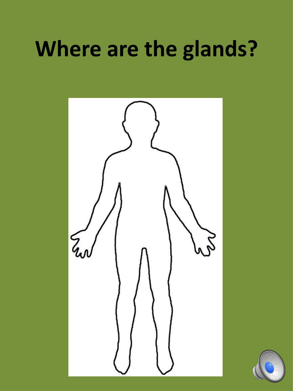 Ppt Endocrine System Powerpoint Presentation Free Download Id 2140221