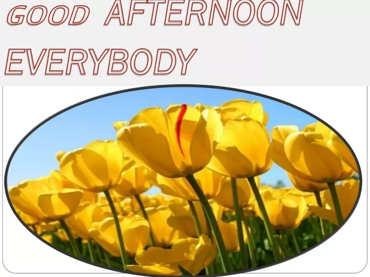PPT - GOOD AFTERNOON EVERYBODY PowerPoint Presentation, free download ...