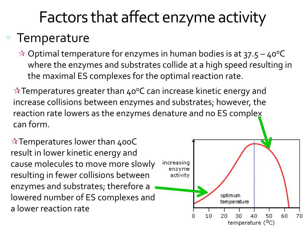 Science Infographic Diagram Show Factors Affecting En - vrogue.co Science Infographic Diagram Show Factors Affecting En - vrogue.co