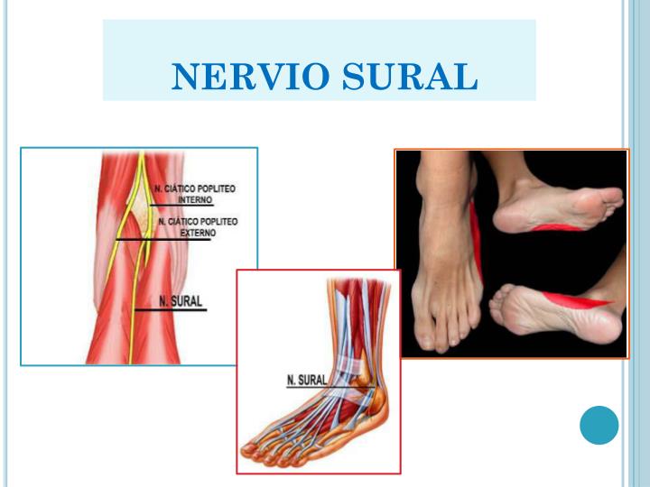 PPT - BLOQUEO DEL TOBILLO Y PIE PowerPoint Presentation - ID:2140262