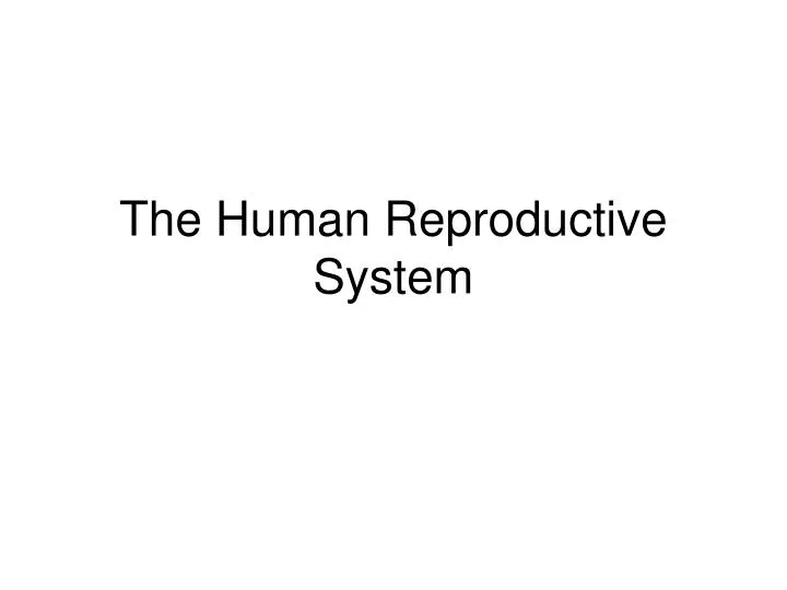 PPT - The Human Reproductive System PowerPoint Presentation, free ...