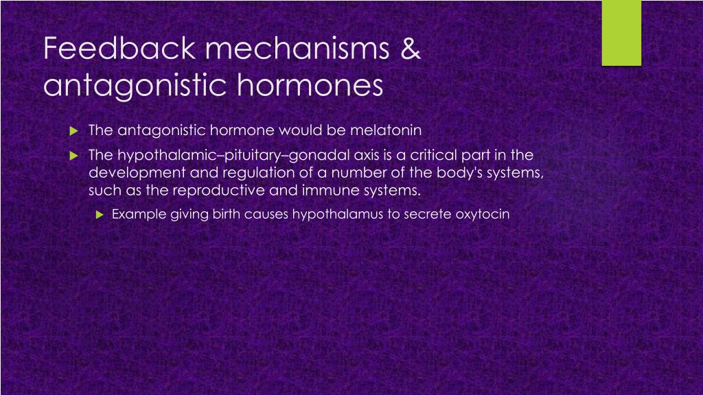 PPT - The Female Gonads PowerPoint Presentation, free download - ID:2140654