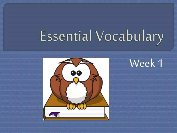 PPT - Essential Vocabulary PowerPoint Presentation, free download - ID ...