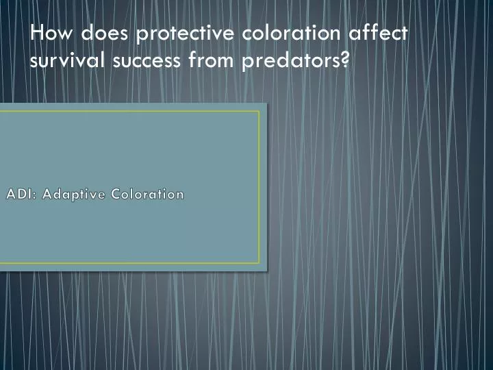 PPT - ADI: Adaptive Coloration PowerPoint Presentation, free download ...