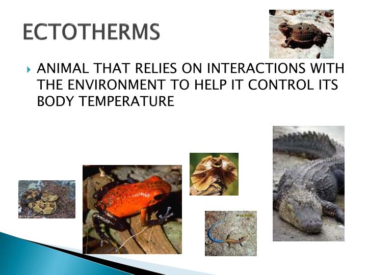 PPT - BIOLOGY EOCT PowerPoint Presentation - ID:2141194