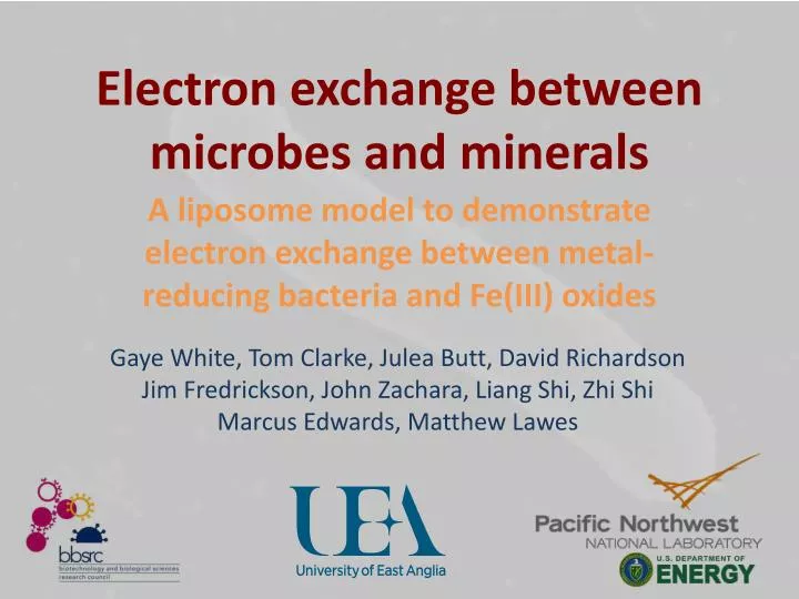 PPT - Electron exchange between microbes and minerals PowerPoint ...