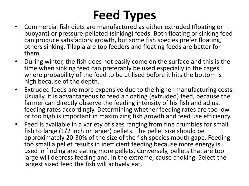 PPT - Effective Feeding Management Practices for Tilapia Aquaculture ...