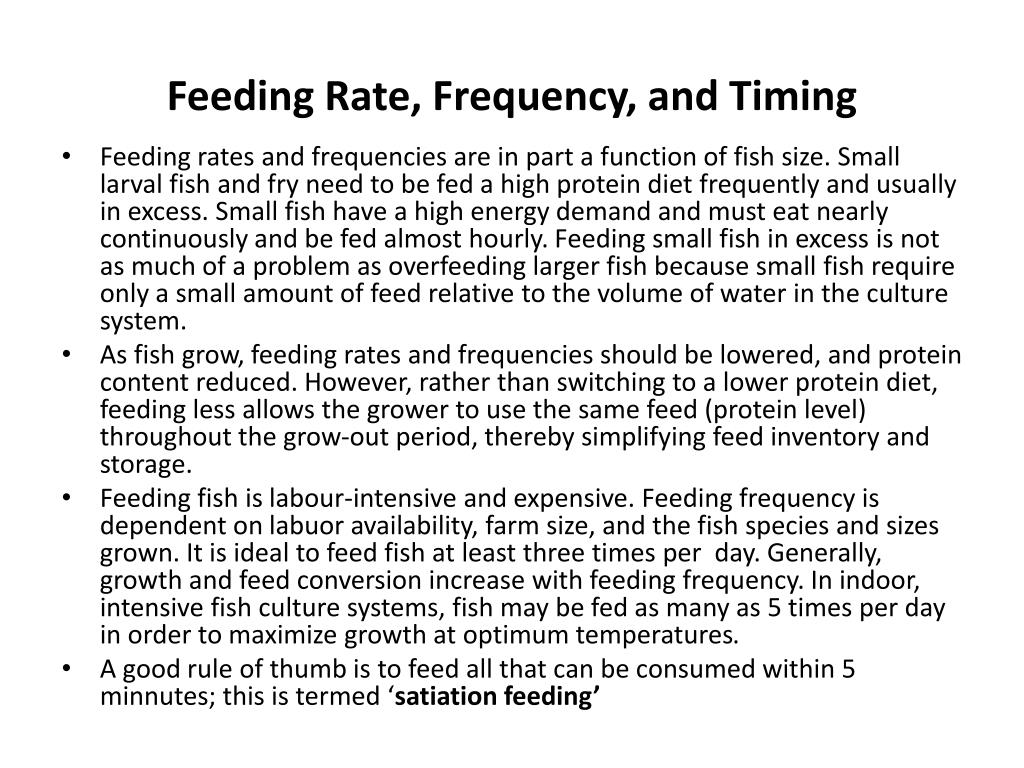 PPT - Effective Feeding Management Practices for Tilapia Aquaculture ...