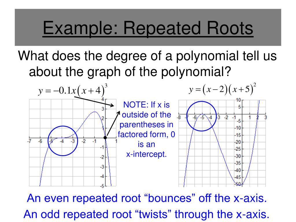 PPT Basics Of A Polynomial PowerPoint Presentation Free Download