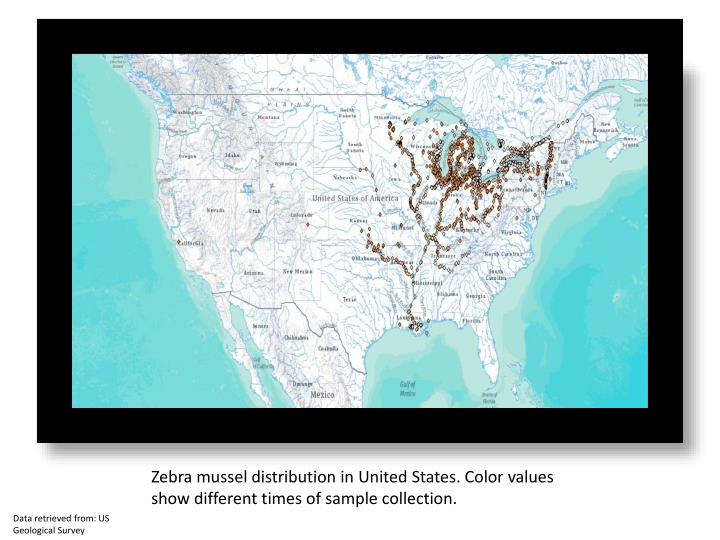PPT - Aquatic Invasive Species Distribution PowerPoint Presentation ...