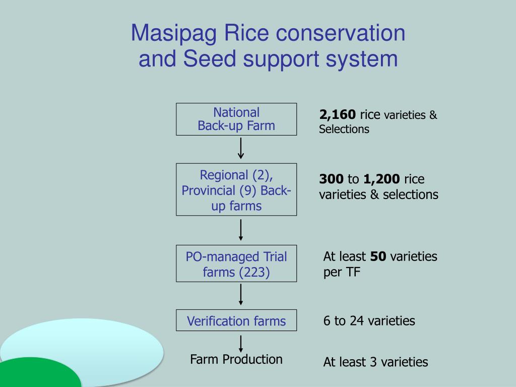 PPT - Chito P. Medina, Ph.D. National Coordinator, MASIPAG http://www ...