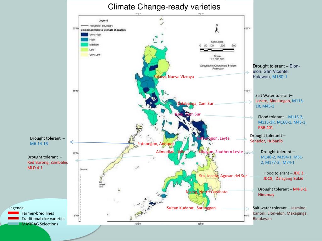 PPT - Chito P. Medina, Ph.D. National Coordinator, MASIPAG http://www ...