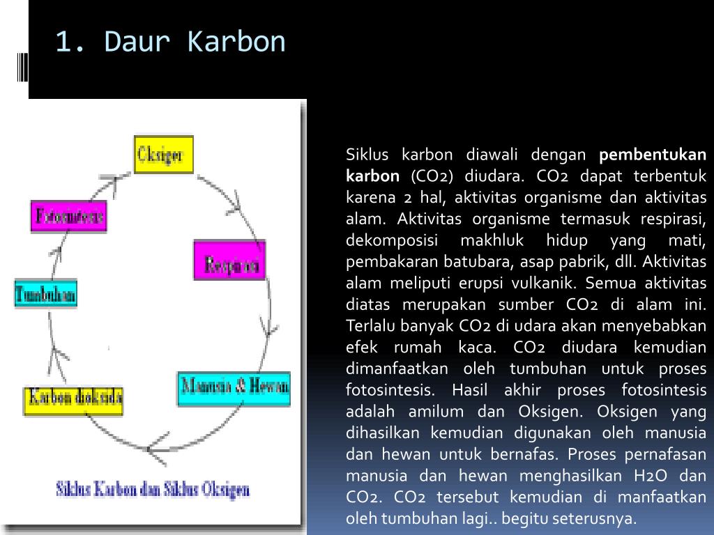 PPT - EKOSISTEM, SUMBERDAYA ALAM DAN LINGKUNGAN PowerPoint Presentation ...