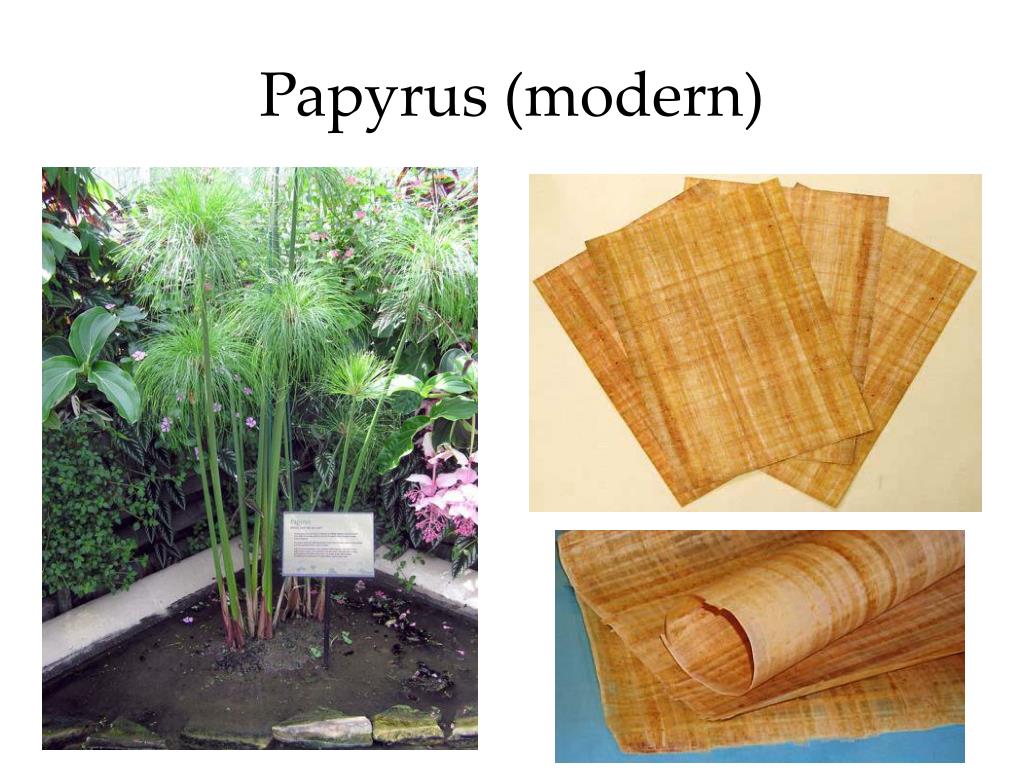 PPT - Greek and Latin literature and the classical tradition PowerPoint ...
