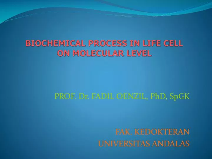 PPT - BIOCHEMICAL PROCESS IN LIFE CELL ON MOLECULAR LEVEL PowerPoint ...