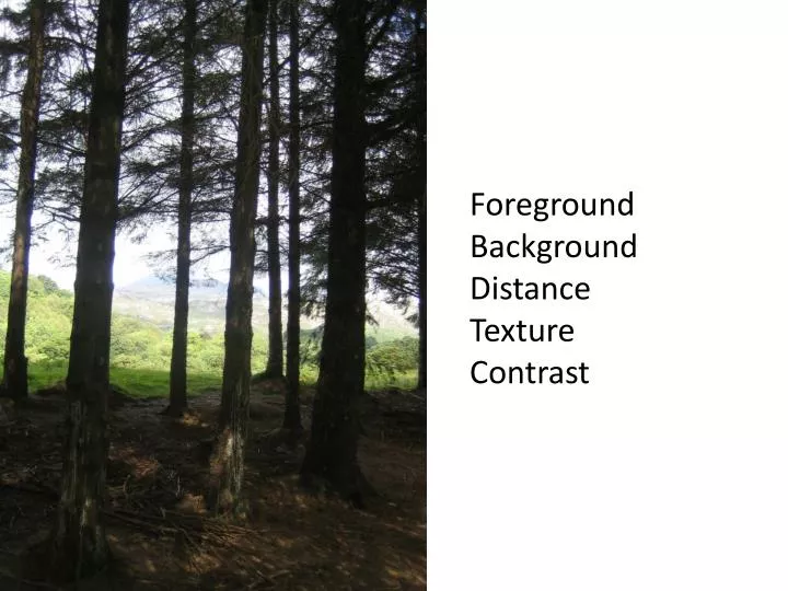 PPT - Foreground Background Distance Texture Contrast PowerPoint ...