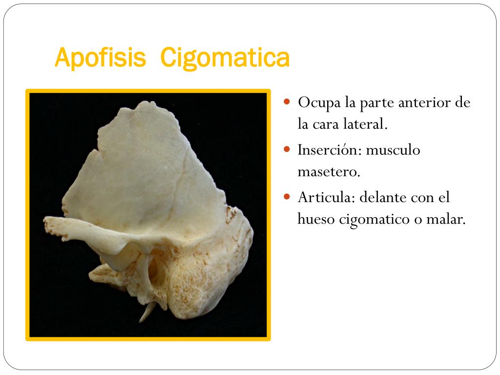 PPT - FACULTAD DE CIENCIAS MÉDICAS CARRERA DE MEDICINA CÁTEDRA DE ...
