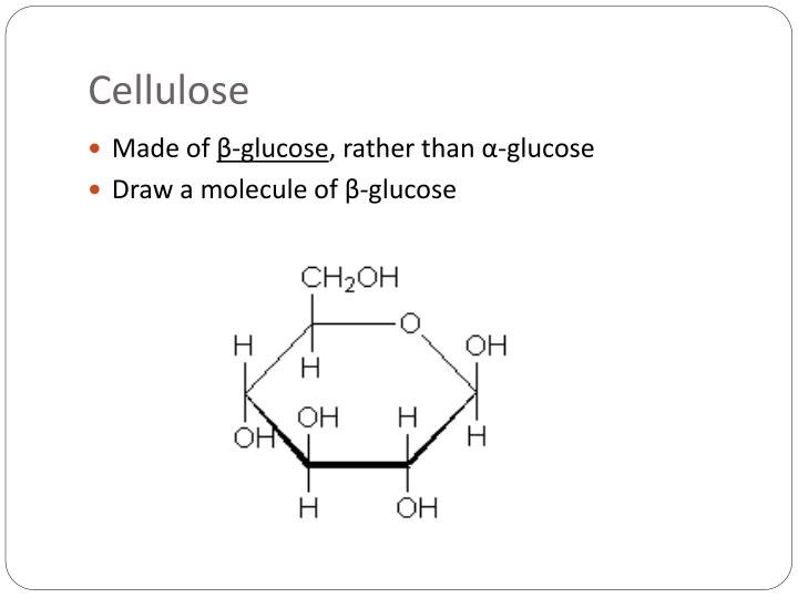 PPT - Starch, Glycogen and Cellulose PowerPoint Presentation - ID:2142751